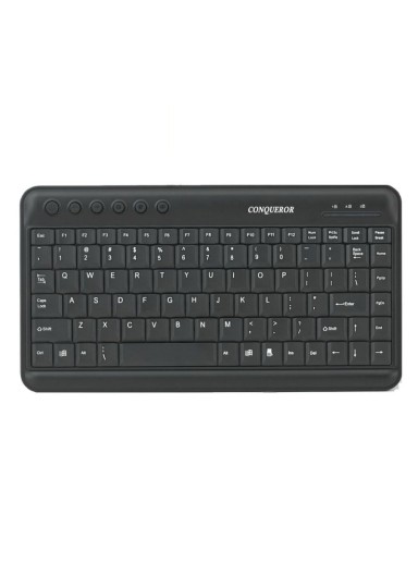 Buy Mini Keyboard Wired with USB & PS2 UL212 - Black Online at Best ...